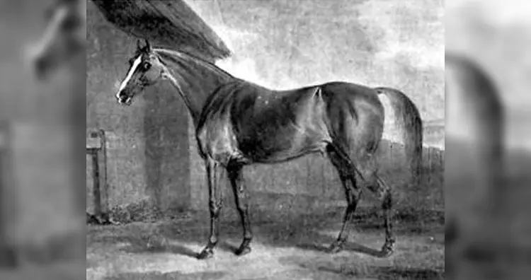 10 Historical Tidbits that Will Make You Chuckle