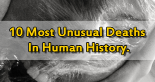 Tippi Degre - The Girl Who Embraced Wildlife. - Unbelievable Facts