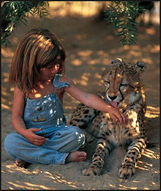 Tippi Degre - The Girl Who Embraced Wildlife. - Unbelievable Facts