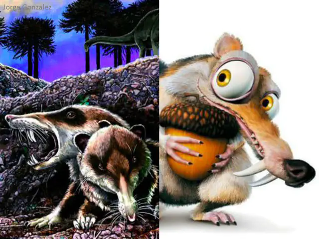 15 Extraordinary Animal Facts That Are Hard To Believe!