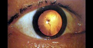 12 Disturbing Photos And The Terrifying Stories Behind Them