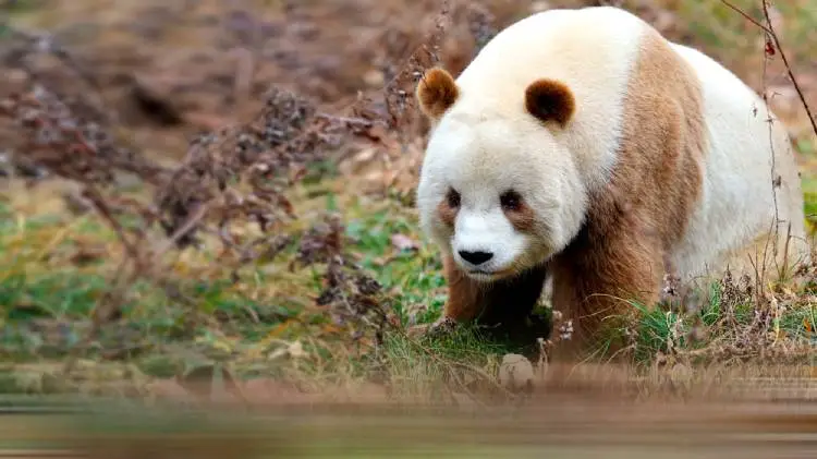 23 Untold Facts About China