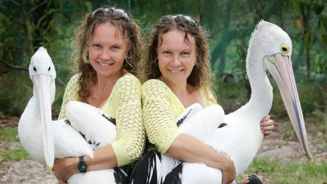 Identical twins who speak in unison have the same lifestyle