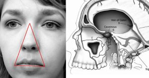 20 Medical Facts That You Should Keep in Your Mind