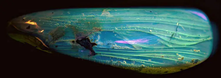 Beautiful Feathered Dinosaur's Tail Found Preserved in Amber