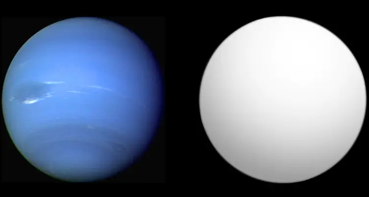 18 Facts That Sound Completely Fake But are Actually True