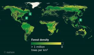 Are there really more trees on Earth than stars in the Milky Way Galaxy?