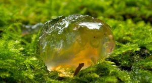 10 Mysterious Unexplained Events Recorded In History