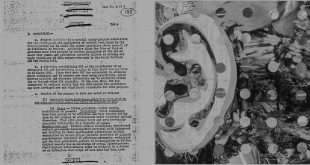 10 Unethical Psychological Experiments that Ended in Disturbing Results
