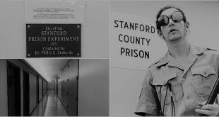10 Unethical Psychological Experiments that Ended in Disturbing Results