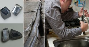 12 Lesser-known Linguistic Facts