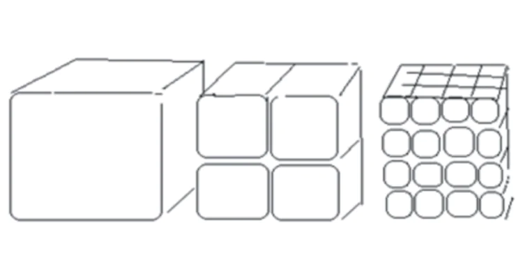 Nicaraguan Sign Language, the language developed by the deaf children ...