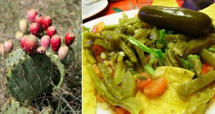 11 Unusual Things that are Actually Edible