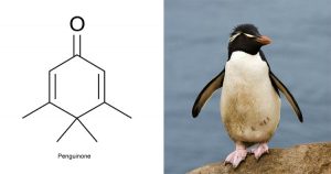10 Chemical Compounds With Weird Names