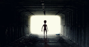 16 Strange Phobias in the World that We Rarely Hear About