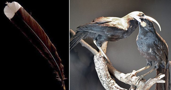 10 Most Expensive Things Around The World You Probably Never heard of