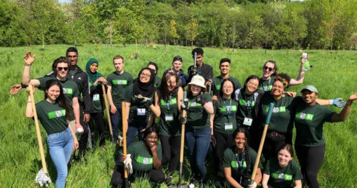 10 Most Successful Afforestation Efforts that Are Turning the Planet Green