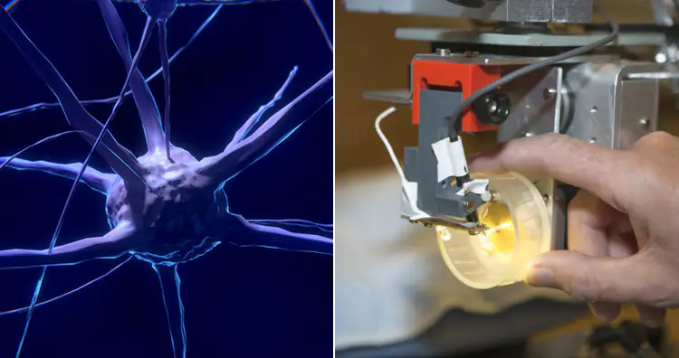 10 Facts About the Human Body You Probably Never Knew