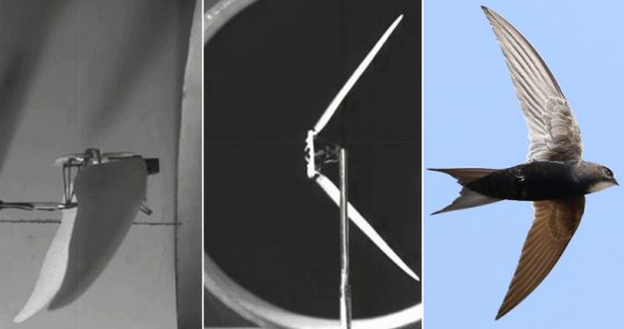 10 Interesting Innovations Inspired by Nature