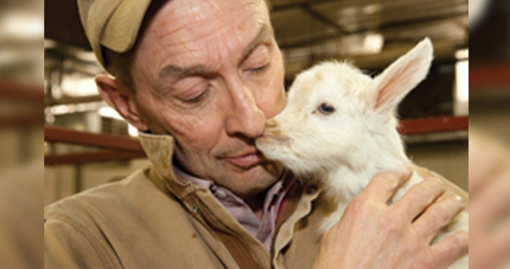 Spider-Goat, The Goat Which Produces Spider Silk Used To Make Bullet ...