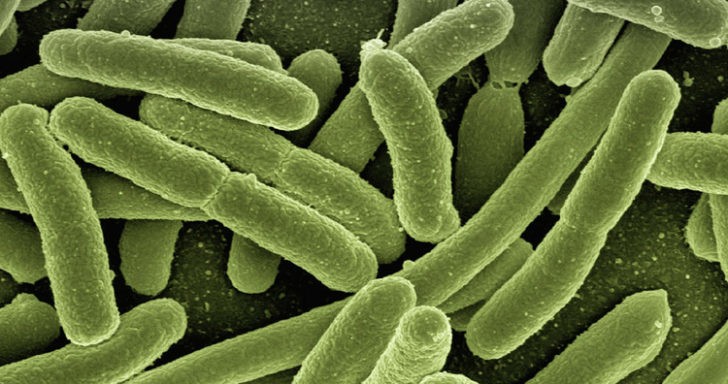 Why Does a Paper Cut Hurt So Much?