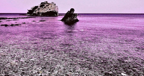 Pingelap - An Island where 10% of the Population is Completely Colorblind