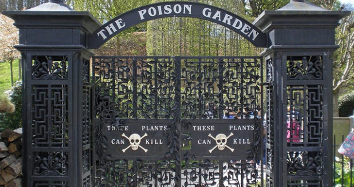 England's Alnwick Poison Garden is Dedicated Entirely to Poisonous Plants