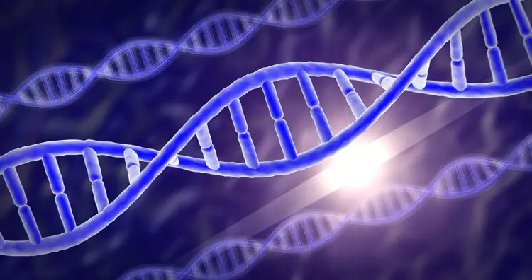 Why Do Some People Remain Slim No Matter What They Eat?