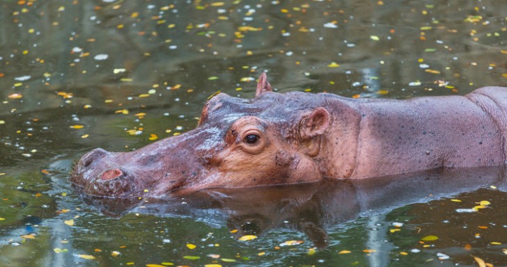 10 Random Facts That Will Amaze you