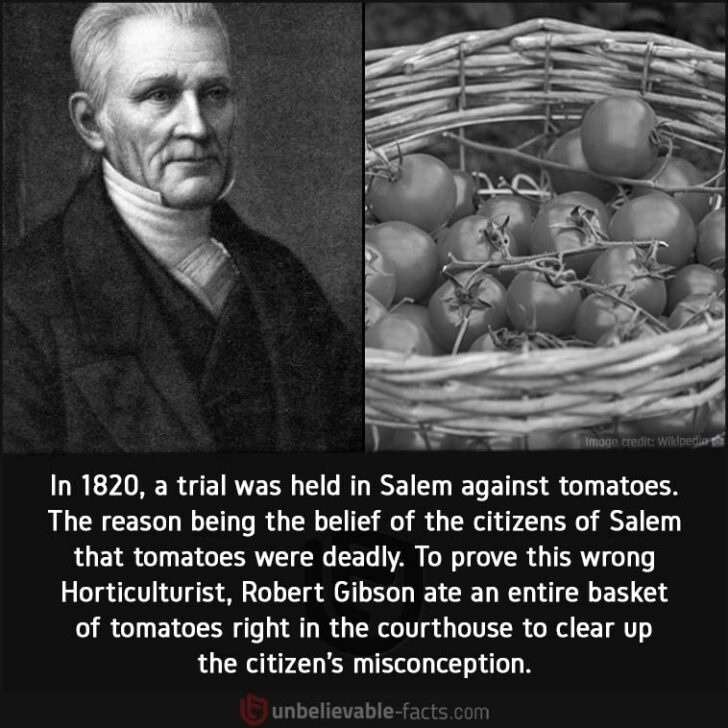 10 Historical Events That Sound Too Strange To Be True