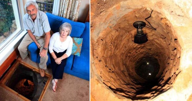 10 Surprising Things People Have Discovered in Their Homes