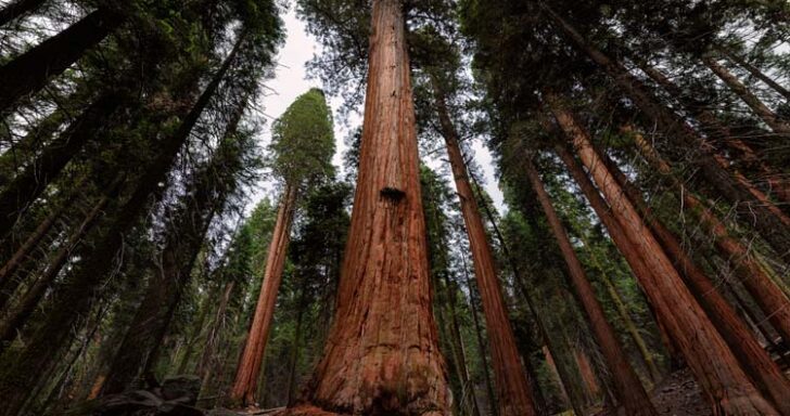 15 Enormous Places that Will Make You Feel Tiny