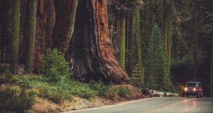 15 Enormous Places that Will Make You Feel Tiny