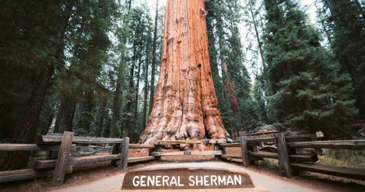 15 Enormous Places that Will Make You Feel Tiny