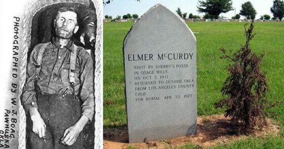 12 Insane Creepy Facts You Won't Believe Are True