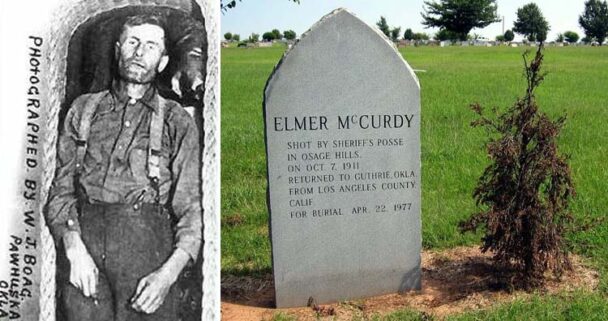 12 Insane Creepy Facts You Won't Believe Are True