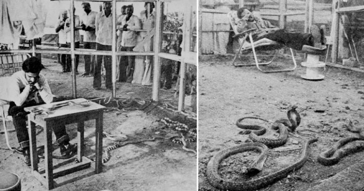 10 Strangest World Records You Probably Never Knew Existed