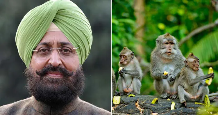 11 Stories of Incredibly Unusual Deaths That Will Keep You Up at Night