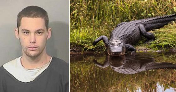 12 Real life Incidents that Will Make You Believe in Karma