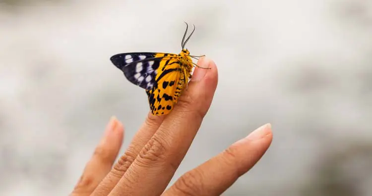 12 Lesser-known Animals Facts That Will Surely Surprise You