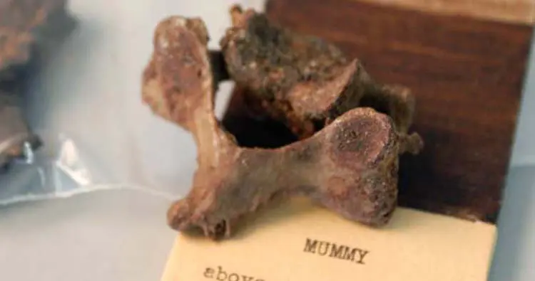 10 Deeply Unsettling Facts that are Discomforting to Read