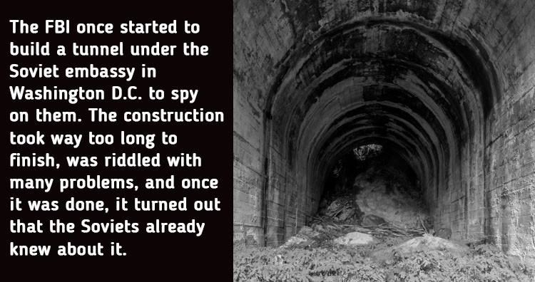 10 "Good" Decisions that Actually Backfired