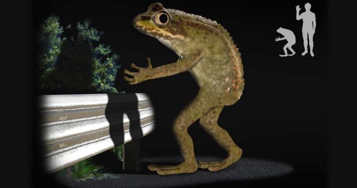 10 Weird Urban Legends from Around the World