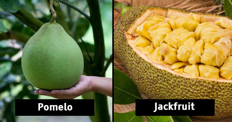 10 of the Most Neglected and Underutilized Fruits