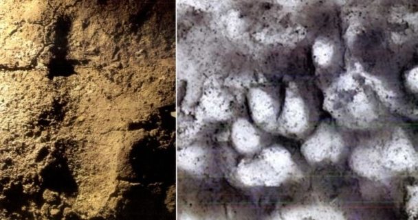 10 of the Most Interesting Things Found in Caves