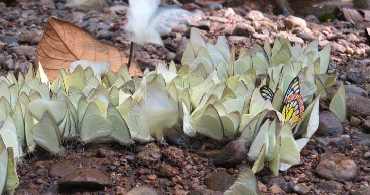 12 Interesting General Knowledge Facts That You Should Know