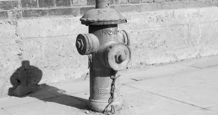 12 Interesting General Knowledge Facts That You Should Know