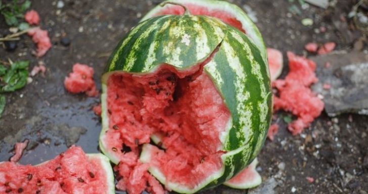 10 Shocking Food Scandals That Dominated Headlines