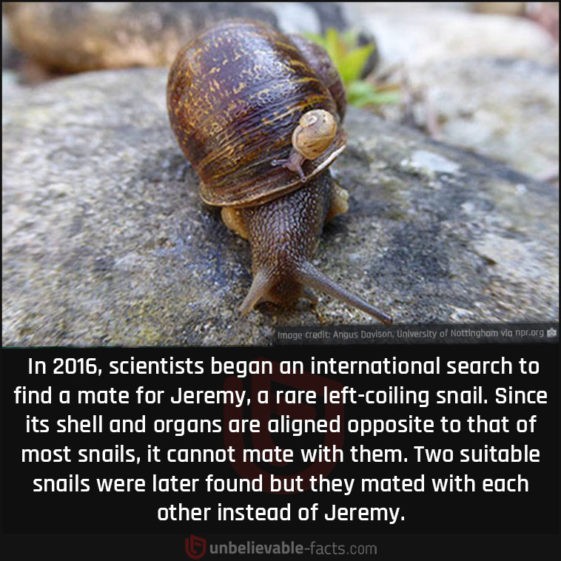 101 Interesting Facts To Share With Your Friends