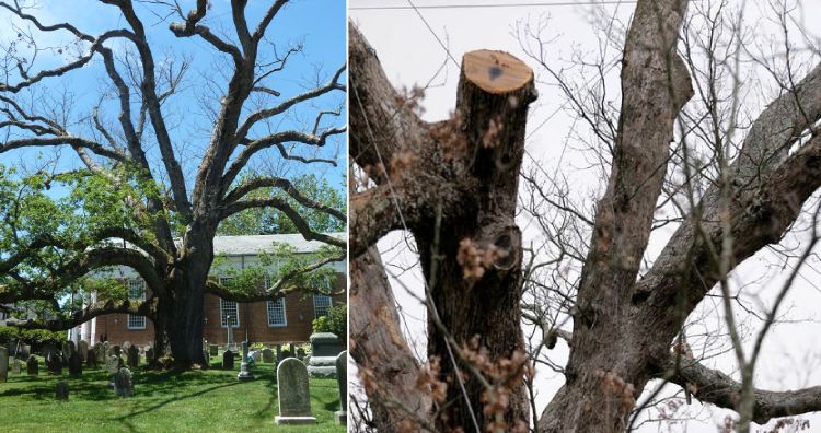 10 Incredible Natural Wonders that No Longer Exist